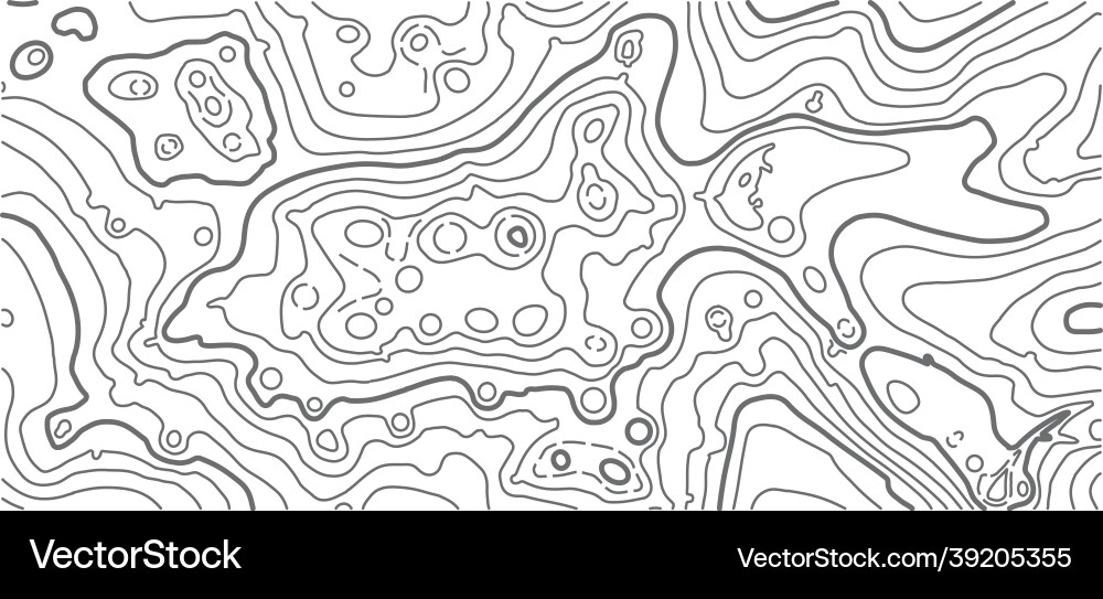 Abstract topographic map on white Royalty Free Vector Image