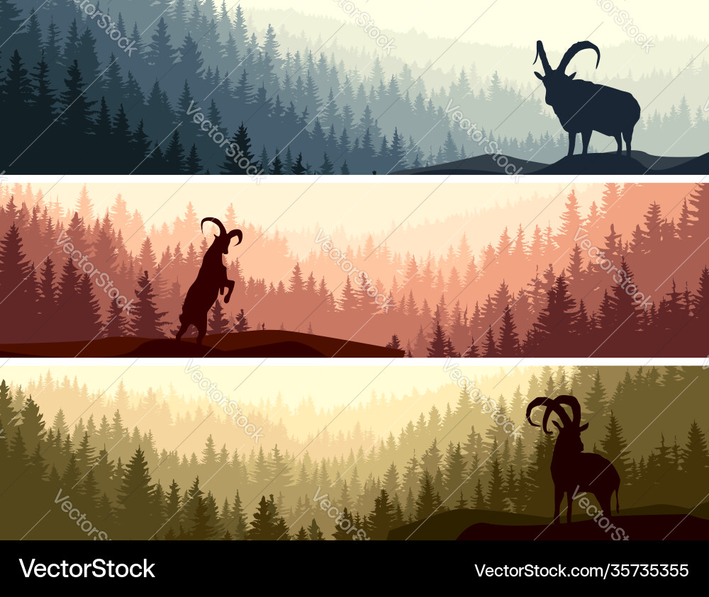 Mountain Goats in Coniferous Forest Banners Vector Image