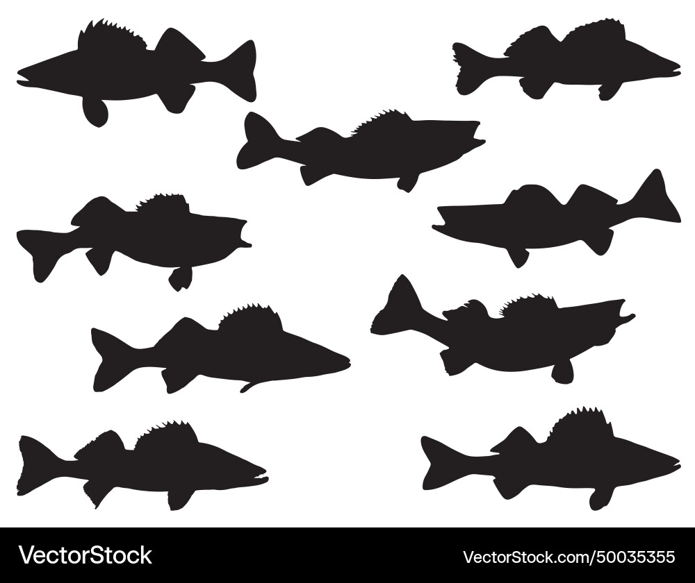 Walleye Outline Vector Images (72)