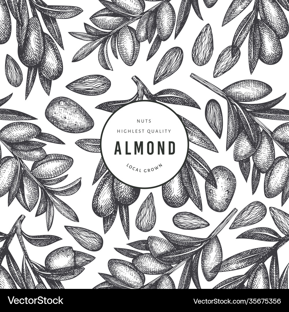 Hand drawn sketch almond design template organic Vector Image