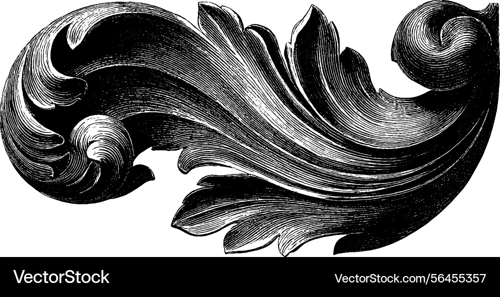 Engraved of foliated volute design Royalty Free Vector Image