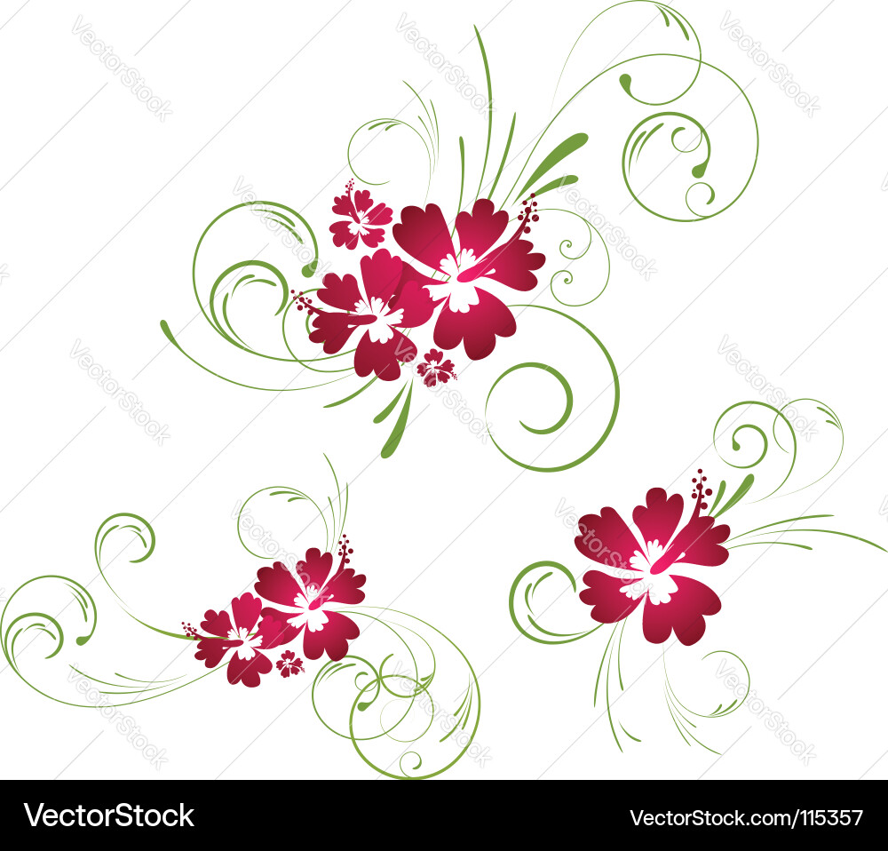 Hibiscus floral elements Royalty Free Vector Image