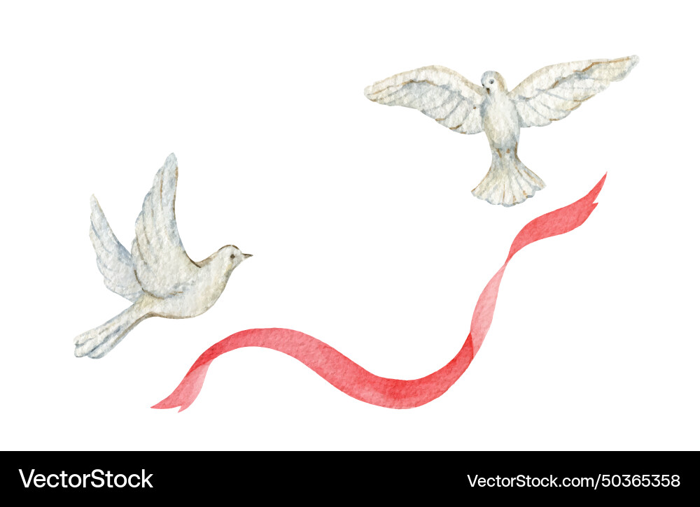 Flying Doves with Ribbon Royalty Free Vector Image