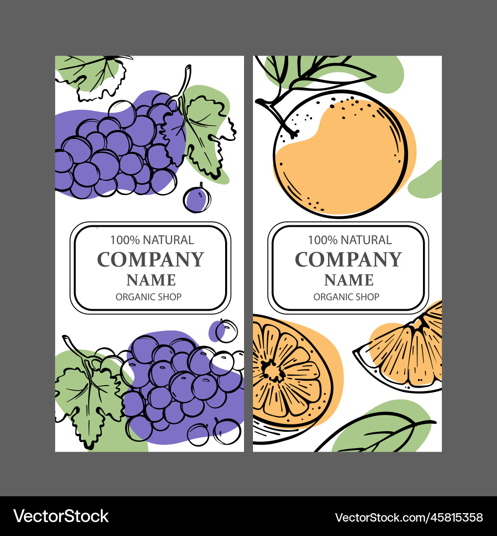 Grape orange labels design sketch Royalty Free Vector Image