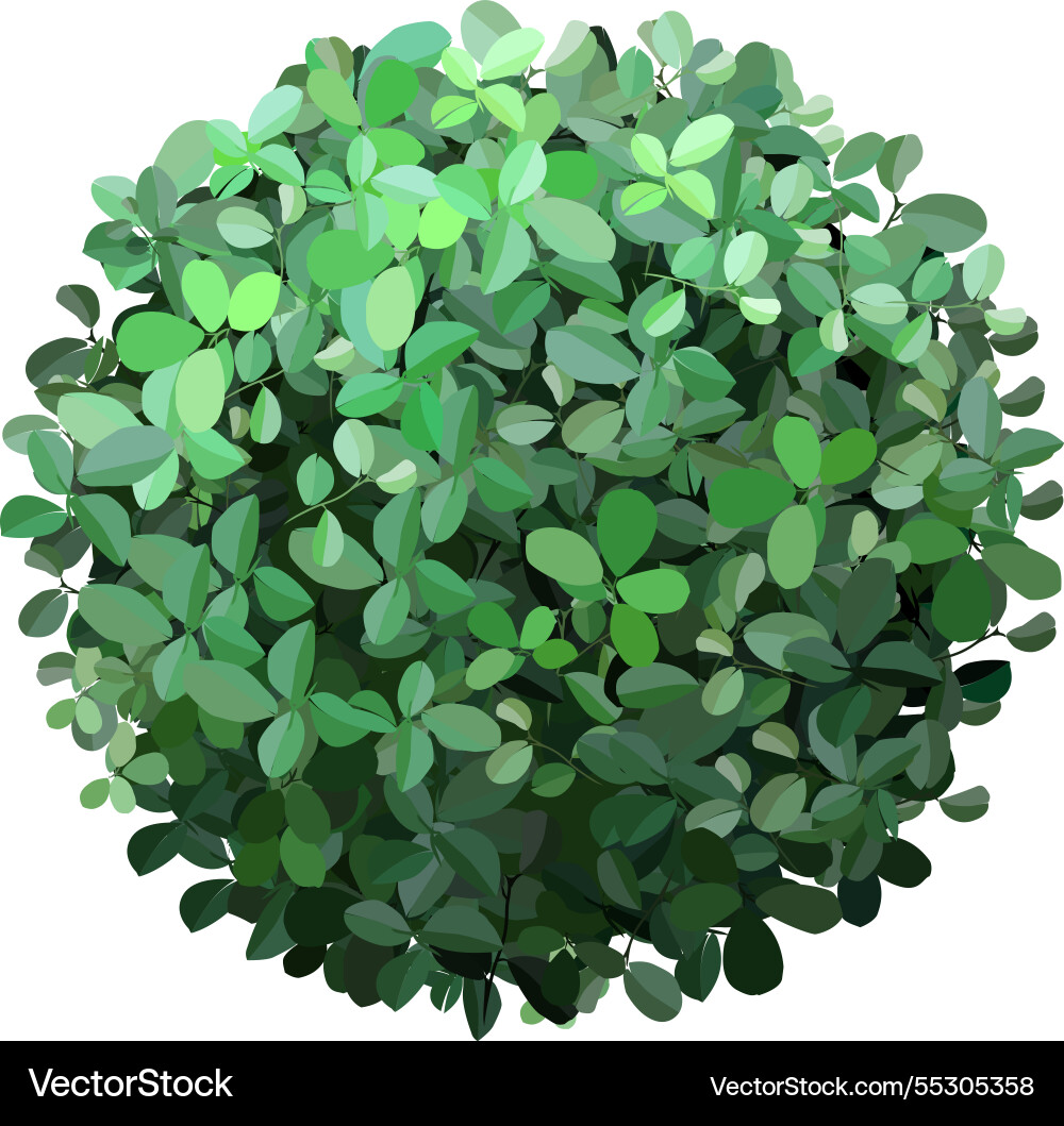 Lush green leaves intricately arranged Royalty Free Vector