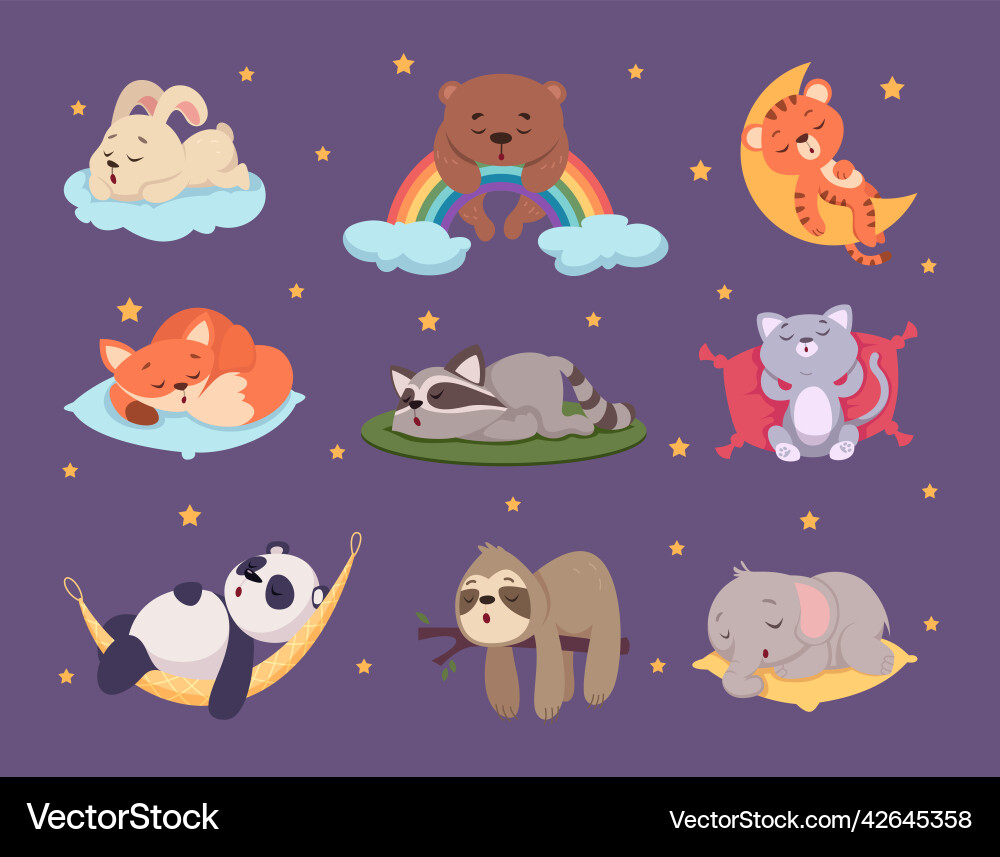 Cute Sleeping Animals