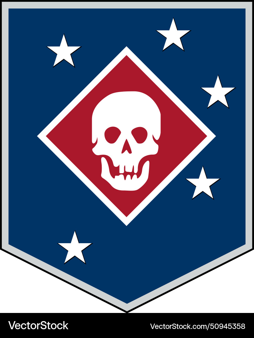 Us marine raider patch Royalty Free Vector Image