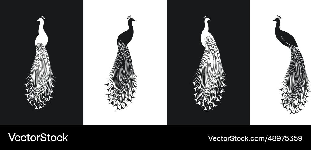 Peacock Royalty Free Vector Image - VectorStock
