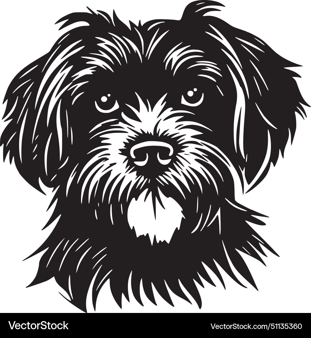 Terrier dog - minimalist and simple silhouette Vector Image