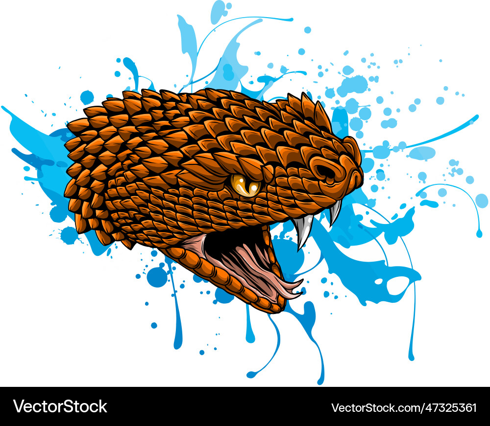 Snake head with splash Royalty Free Vector Image
