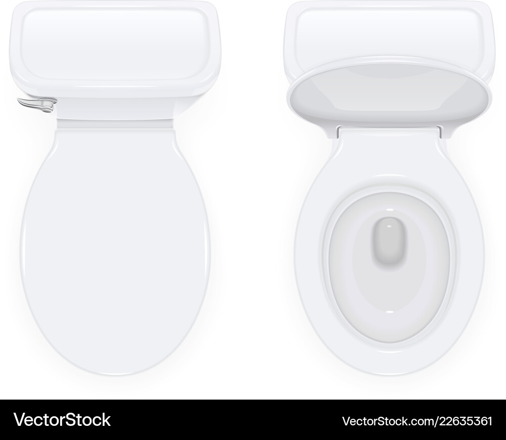 Toilet bowl with open Royalty Free Vector Image