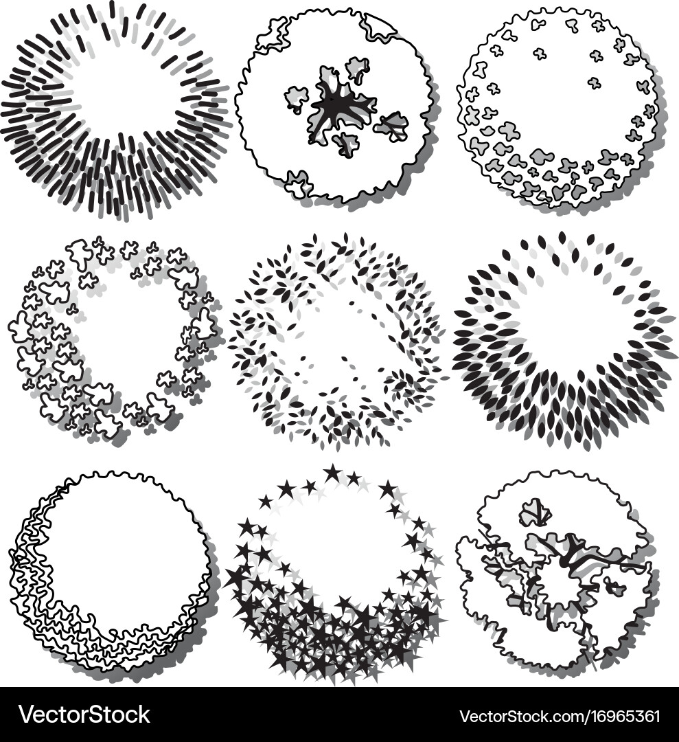 Tree top Royalty Free Vector Image - VectorStock