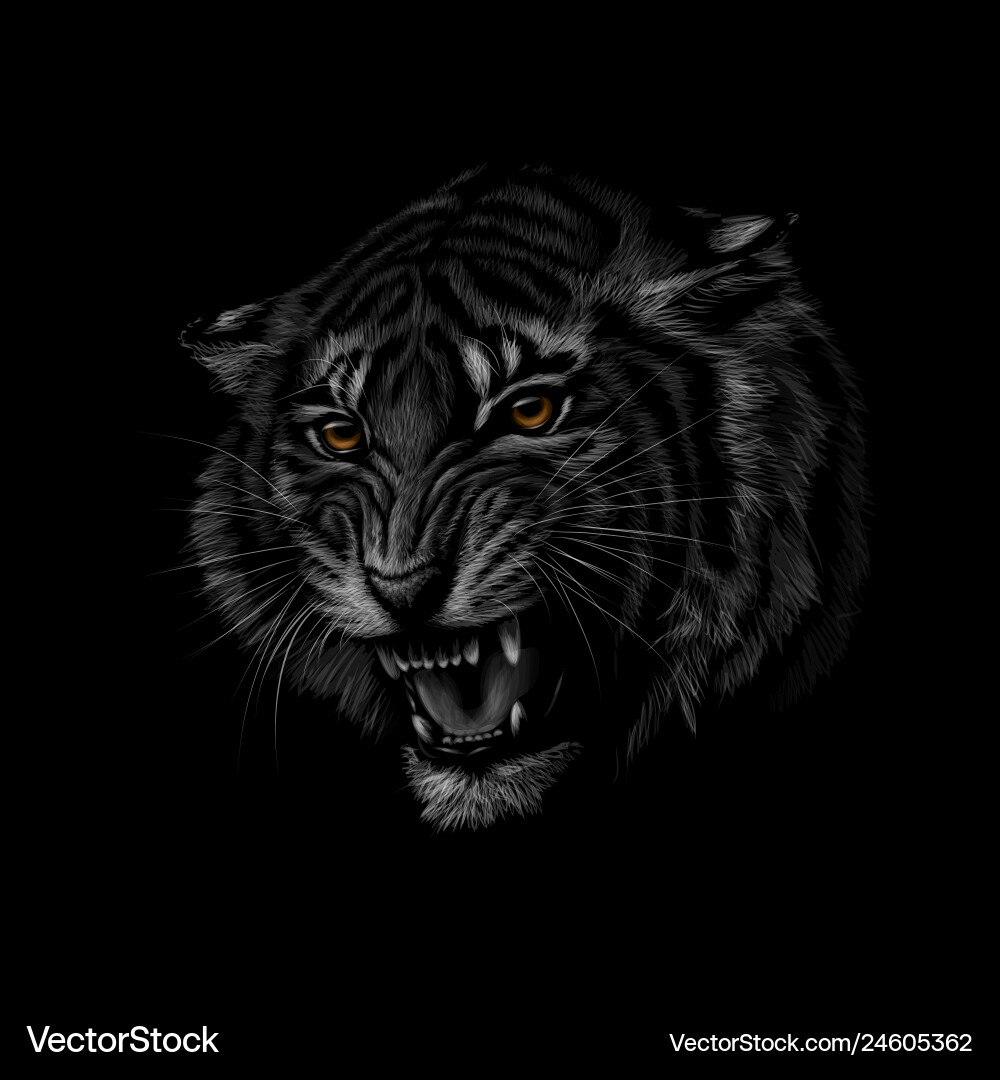 Cat Power Vector Images (over 16,000)