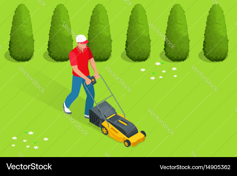 Man mowing the lawn with yellow mower Royalty Free Vector