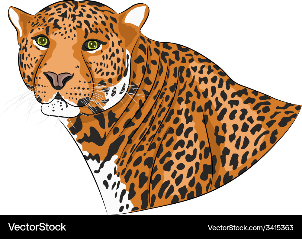 Jaguar Royalty Free Vector Image - VectorStock