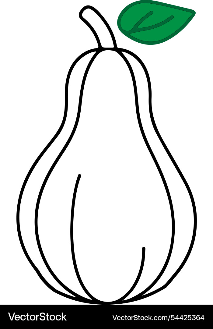 Bottle gourd line art Royalty Free Vector Image