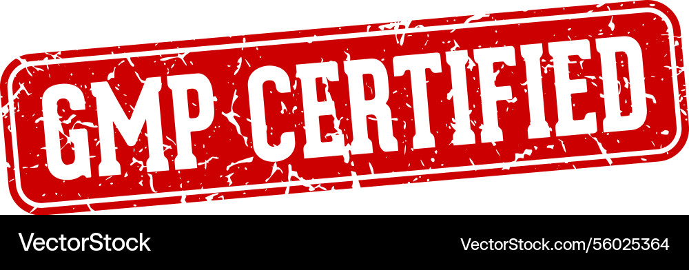 Gmp certified rectangular sign stamp Royalty Free Vector