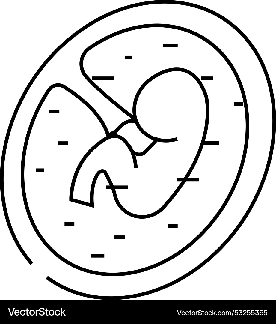 Pregnancy woman line icon Royalty Free Vector Image