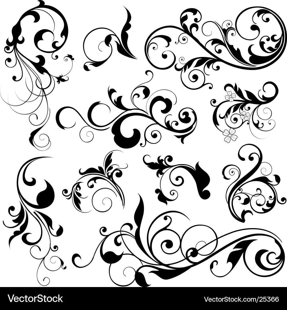 Floral elements Royalty Free Vector Image - VectorStock