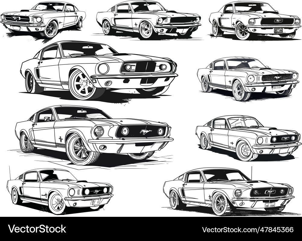 Mustang car Royalty Free Vector Image - VectorStock