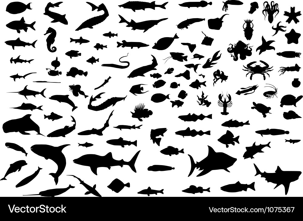100 fish Royalty Free Vector Image - VectorStock