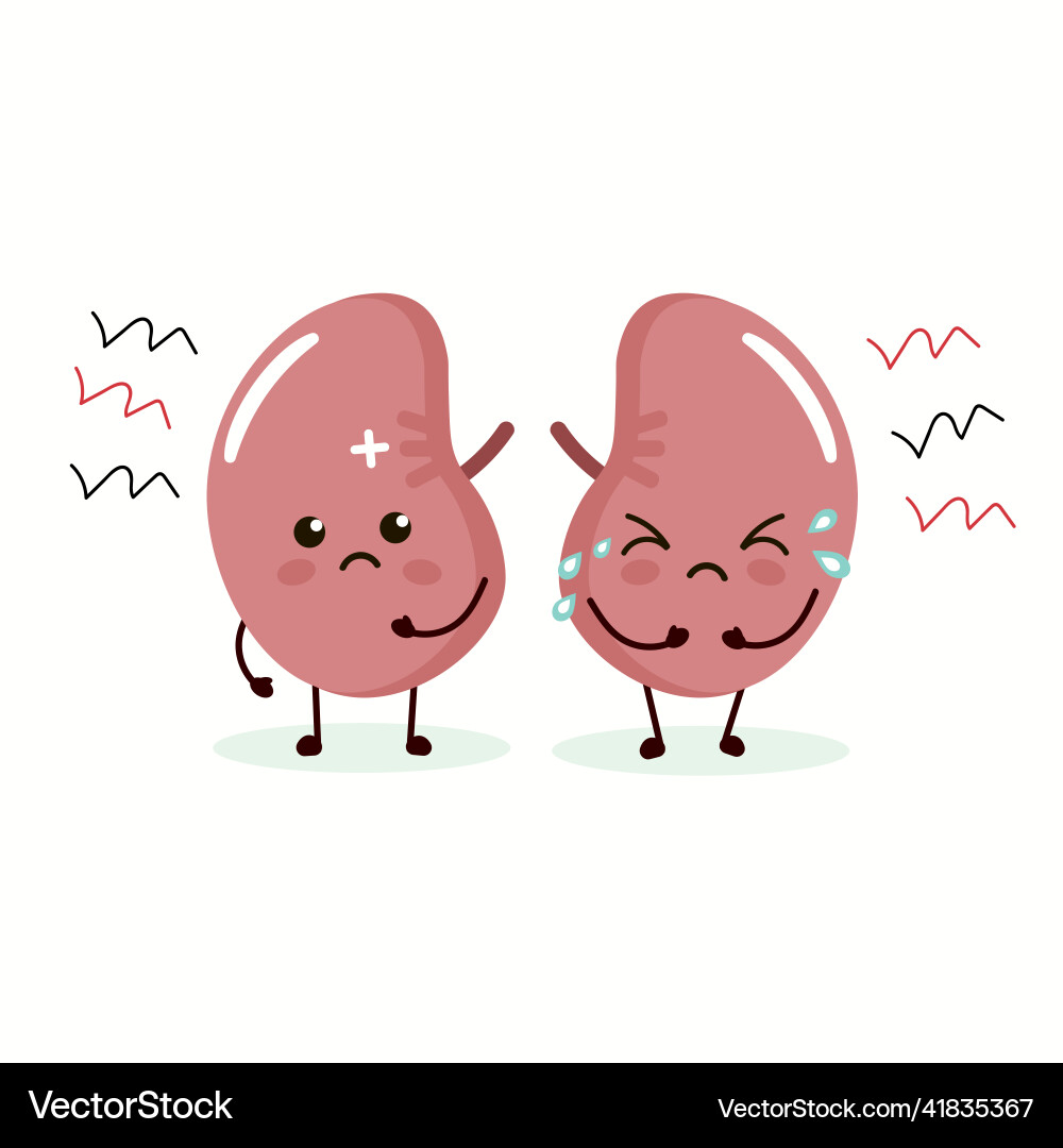 Sad suffering sick kidneys character flat cartoon Vector Image
