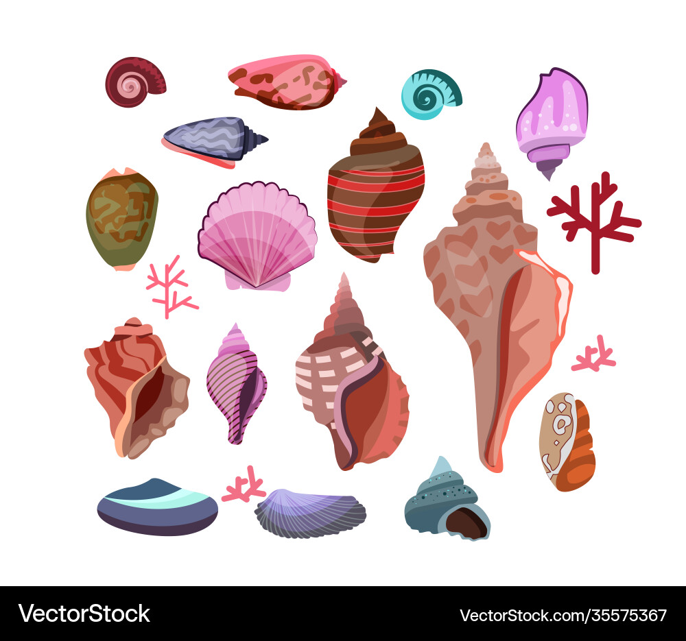 Shell Collection - Diverse Barnacles Royalty Free Vector