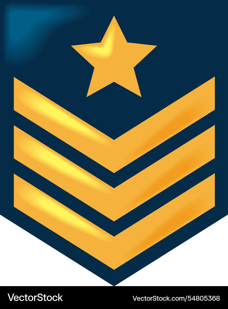 Air force insignia uniform Royalty Free Vector Image