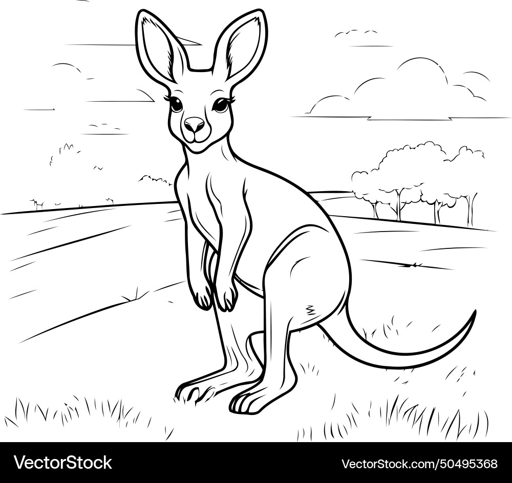 Kangaroo hand drawn in the field Royalty Free Vector Image