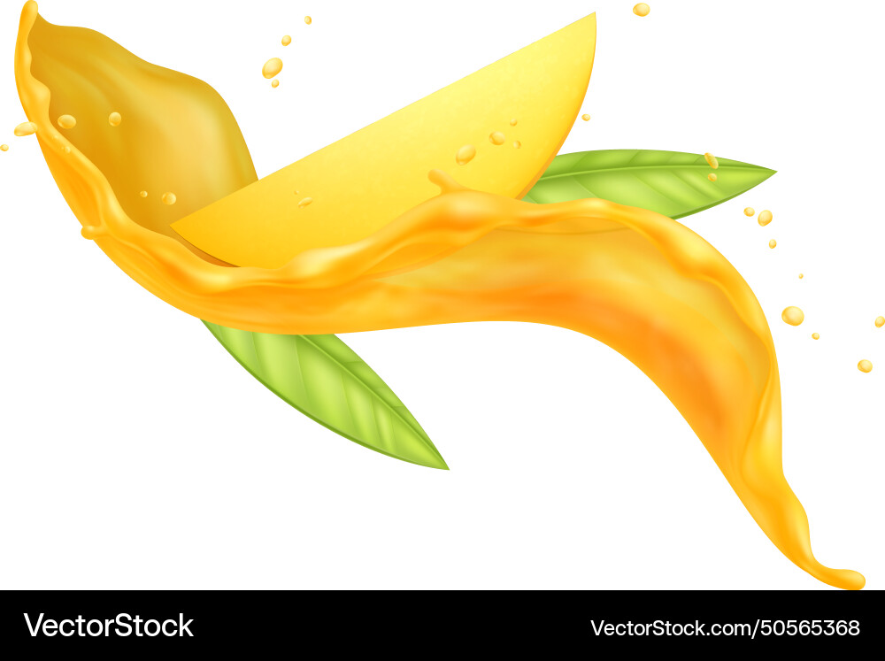Mango slice Royalty Free Vector Image - VectorStock