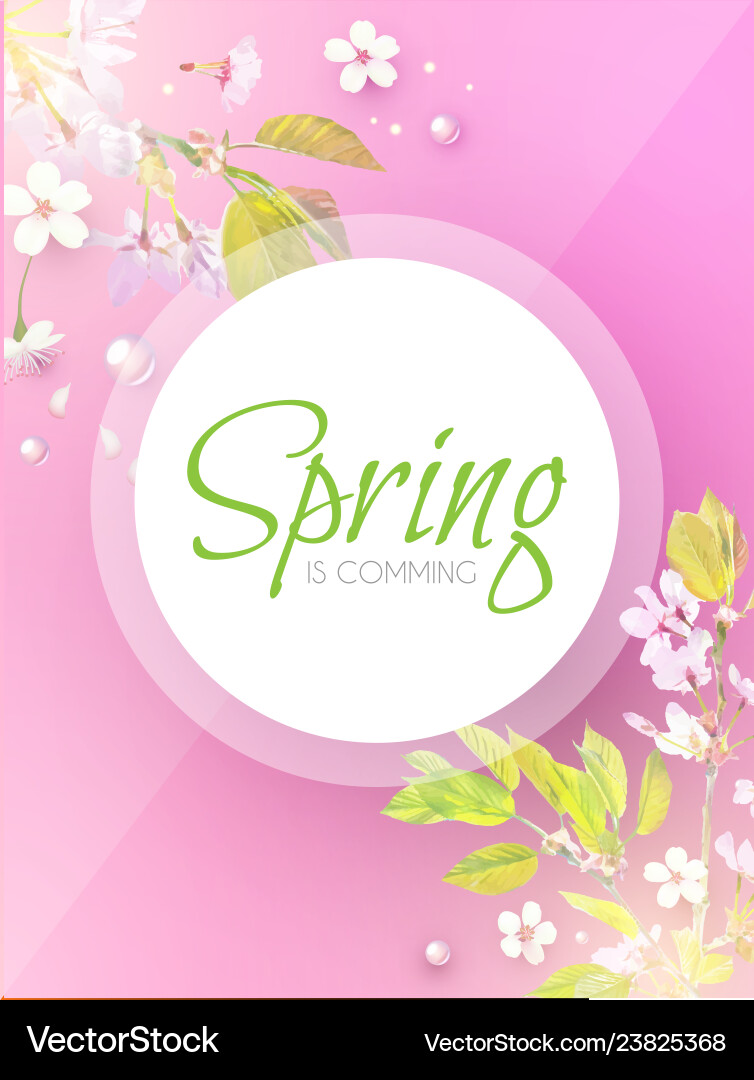 Soft flower spring background cherry blossom Vector Image