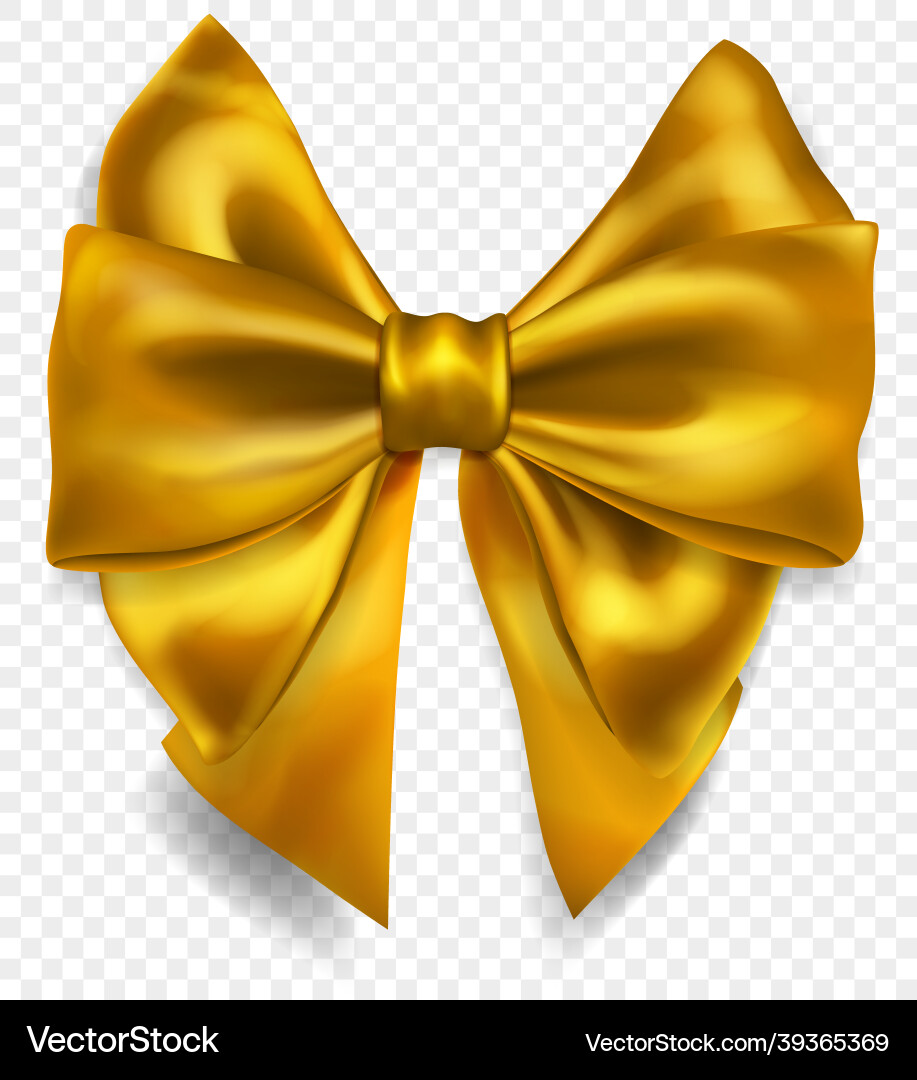 Beautiful big bow Royalty Free Vector Image - VectorStock