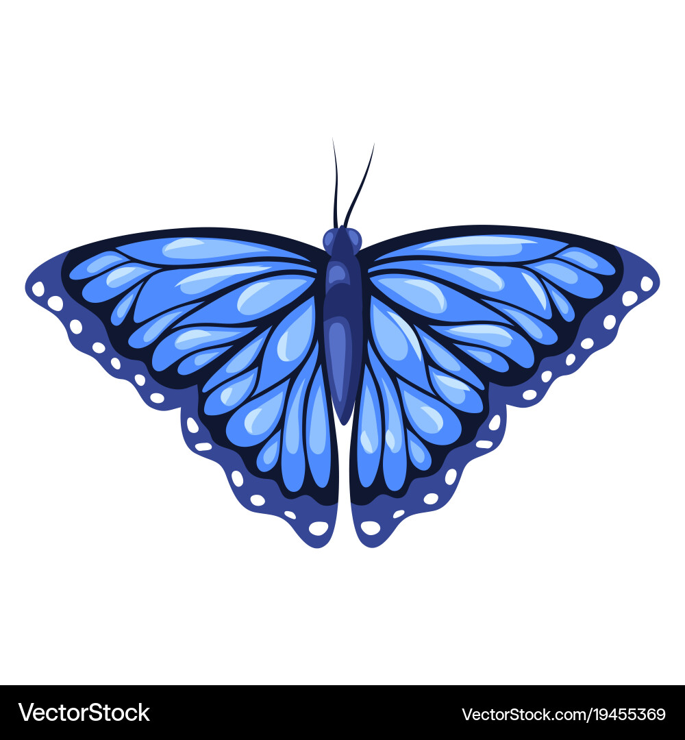 Blue monarch butterfly isolated on white Vector Image