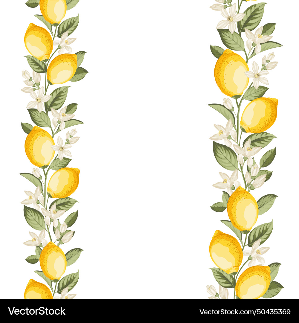 Lemon frame hand-drawn citrus Royalty Free Vector Image