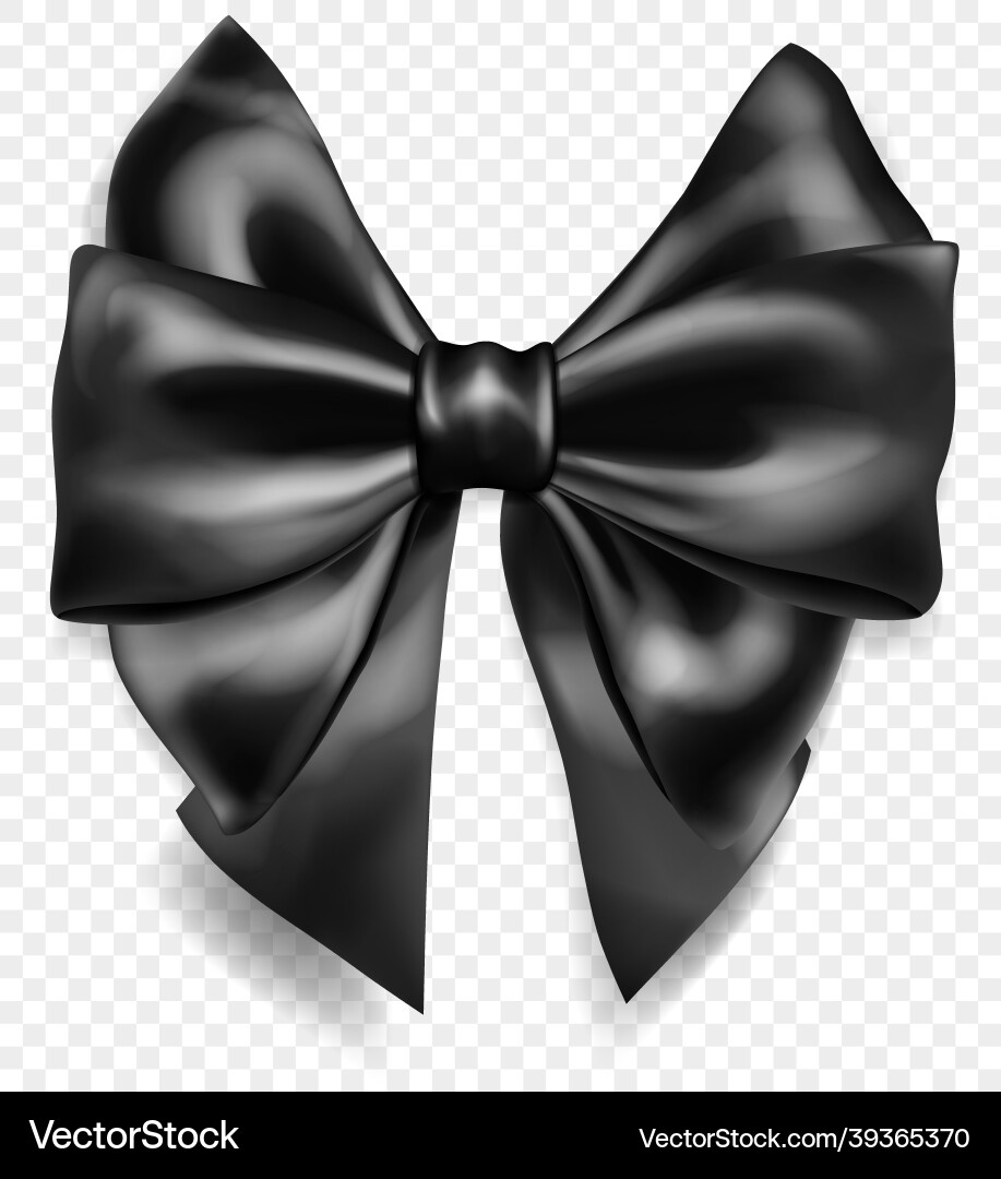 Beautiful big bow Royalty Free Vector Image - VectorStock