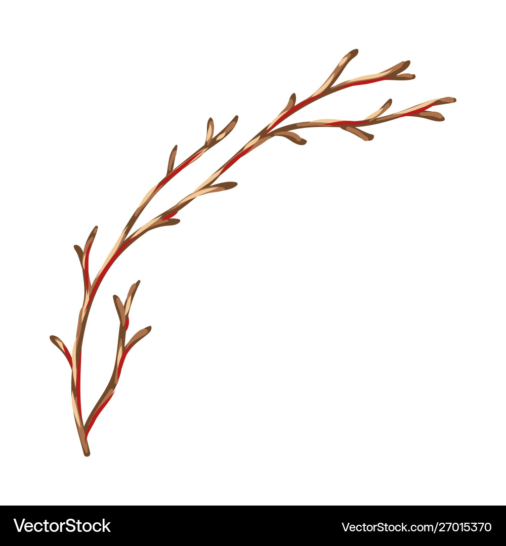 Dry branch Royalty Free Vector Image - VectorStock