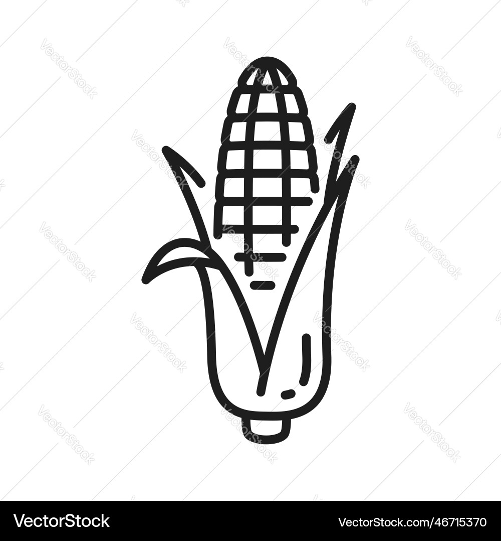 Maize with leaves isolated corncob corn cob icon Vector Image