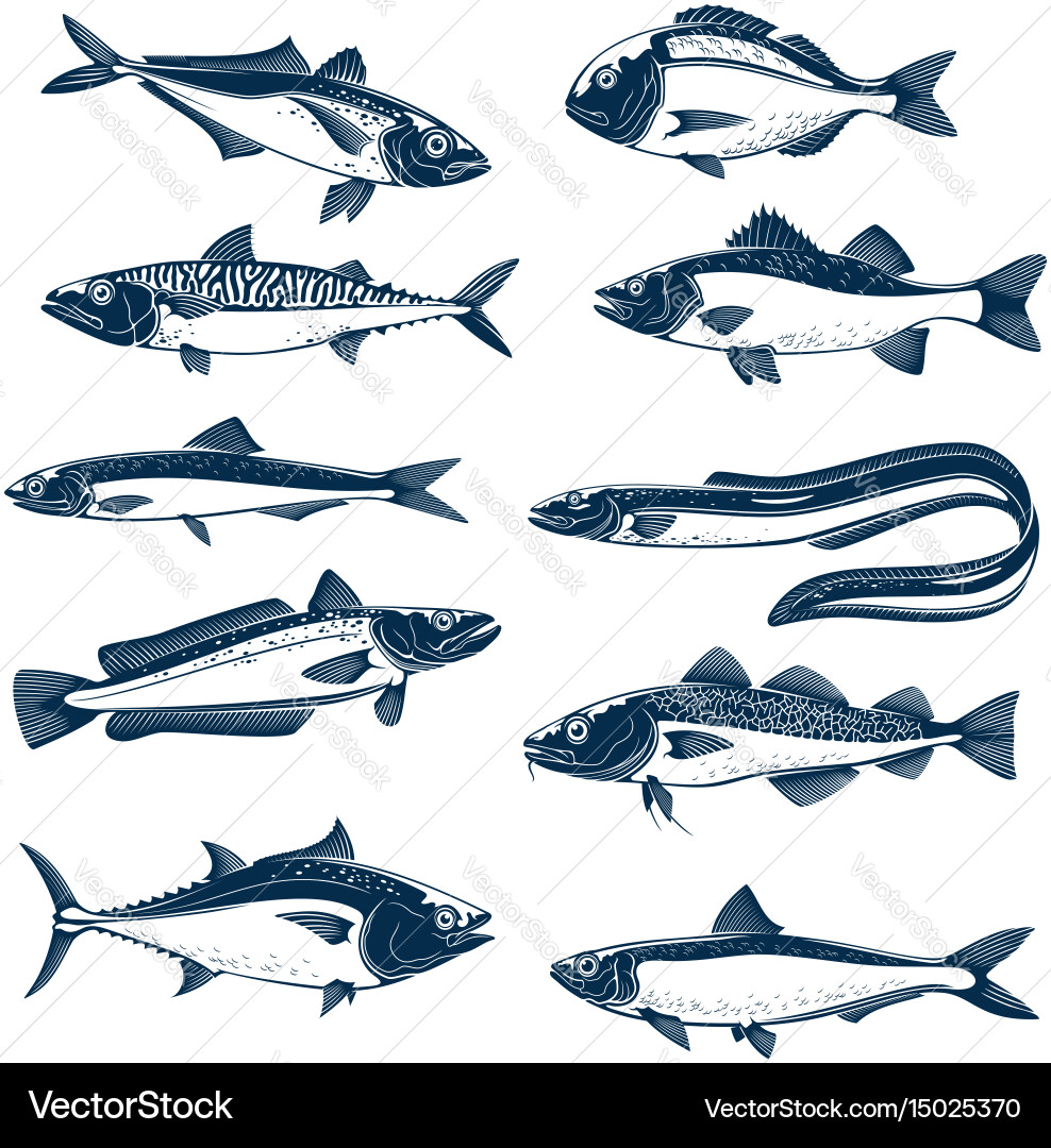 Sea Fish Icon Set - Aquatic Wildlife Royalty Free Vector