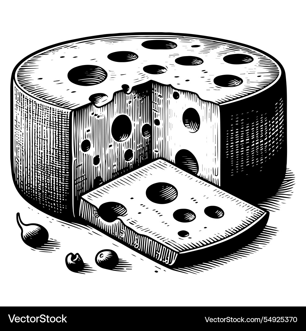 Swiss cheese wedge Royalty Free Vector Image - VectorStock