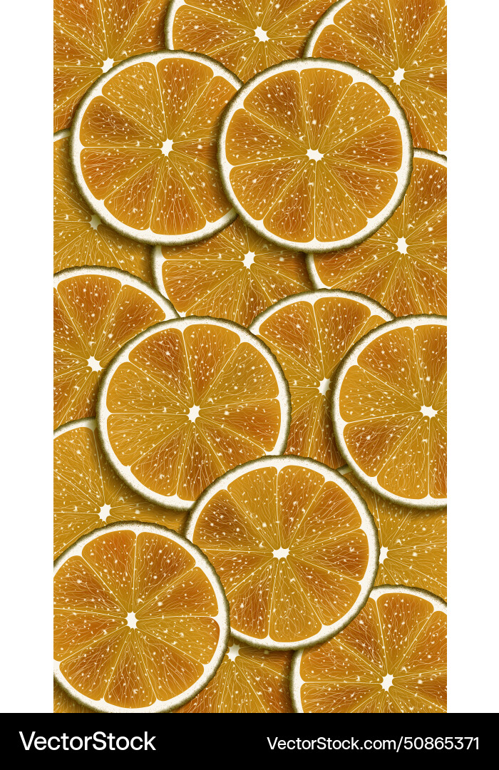 Round slices of citrus fruit Royalty Free Vector Image