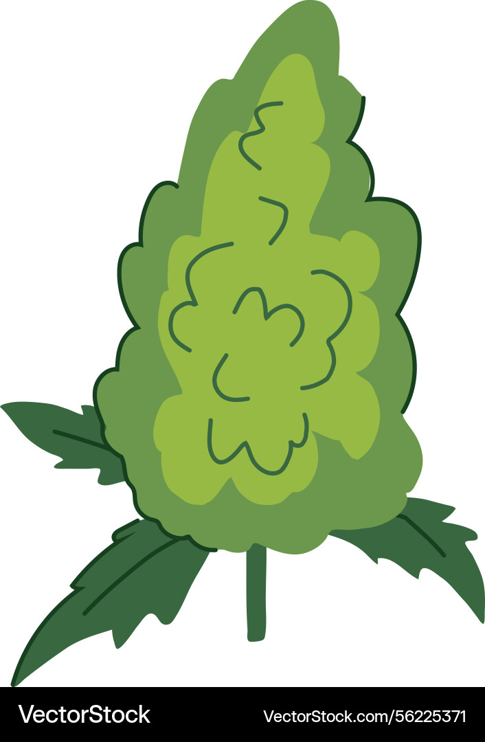 Thc weed bud cartoon Royalty Free Vector Image
