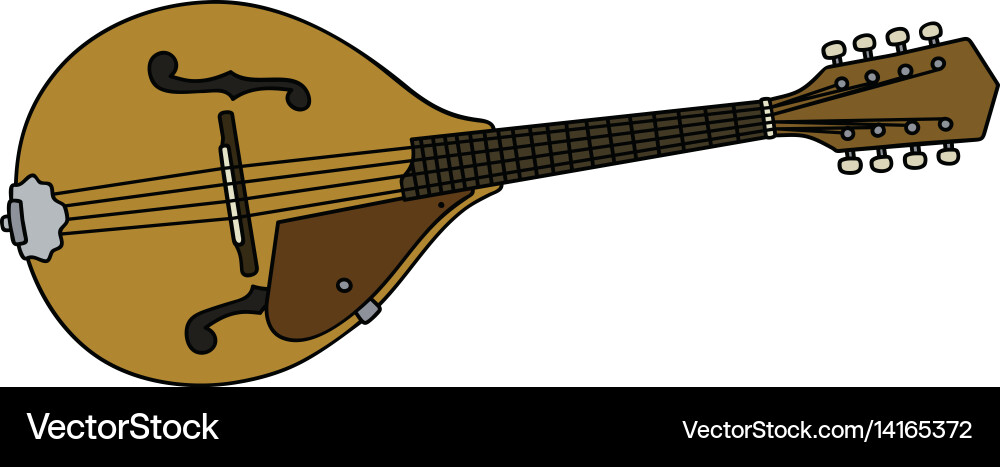 Classic country mandolin Royalty Free Vector Image