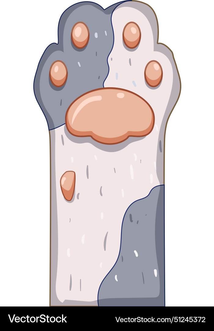 Footprint cat paw cartoon Royalty Free Vector Image