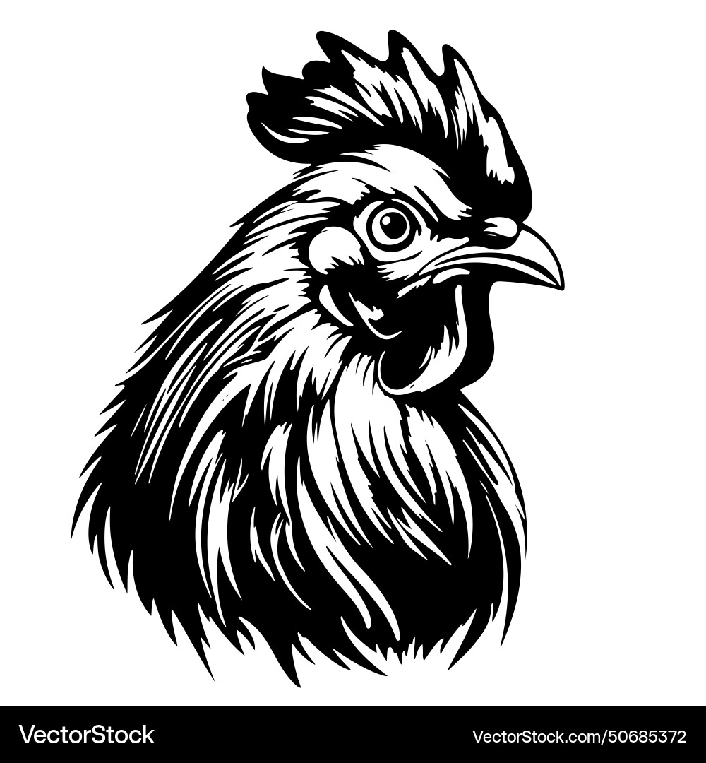 Rooster head in engraving style design element Vector Image
