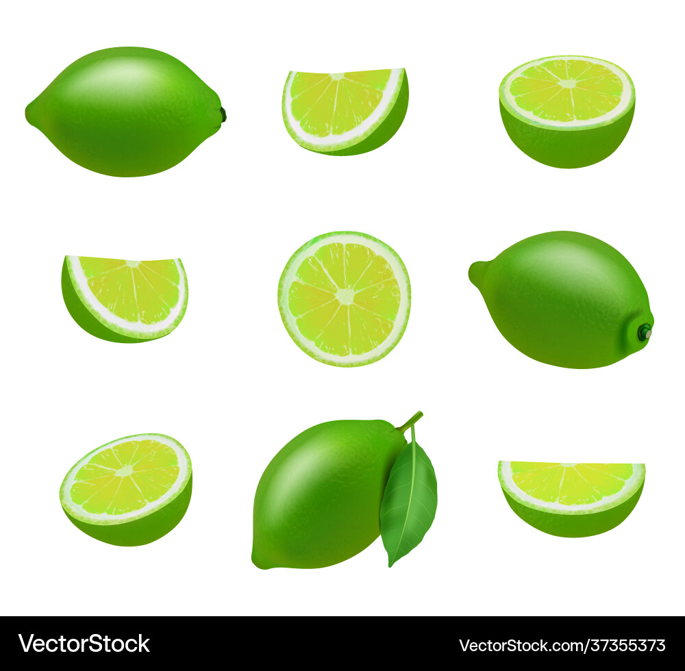 Lime realistic fresh sliced fruits with leaves Vector Image