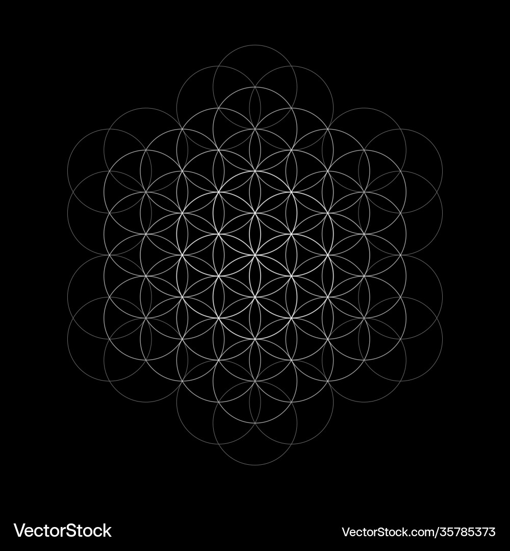 Sacred Geometry Circles Royalty Free Vector Image