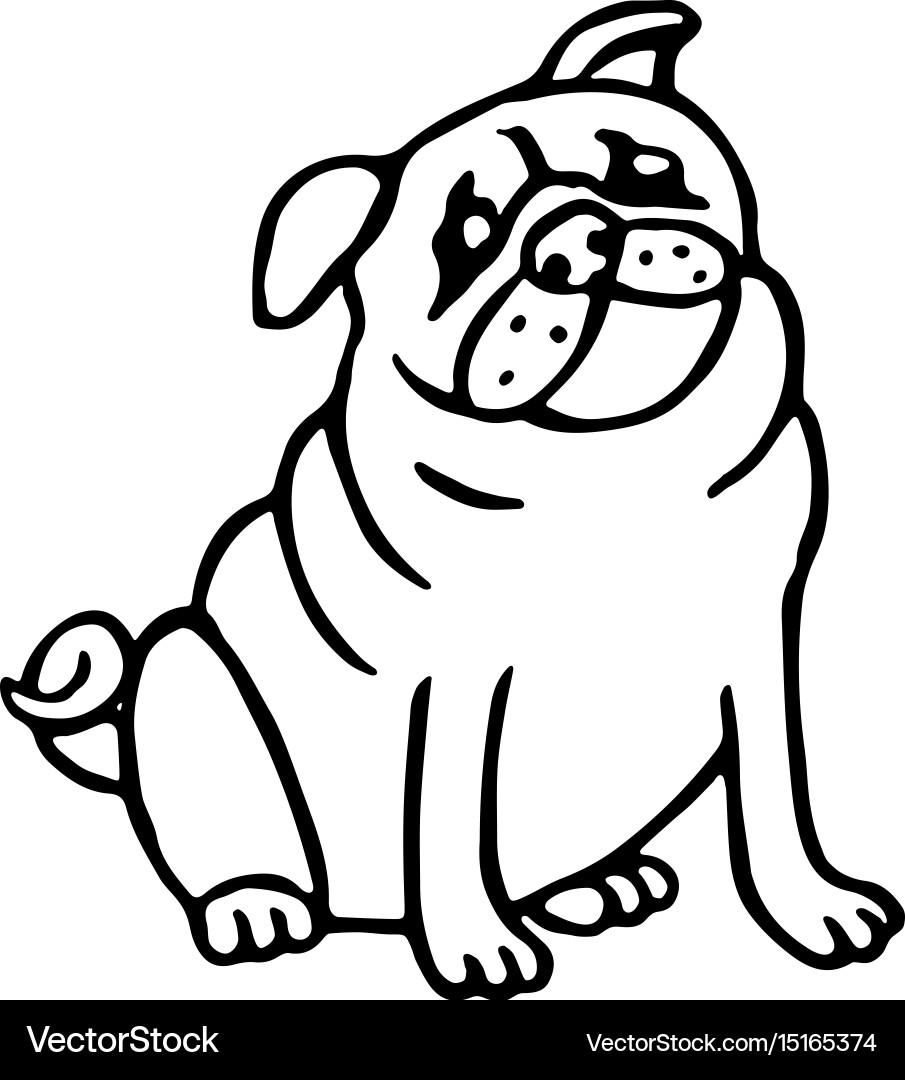 Cute outline pug isolated Royalty Free Vector Image