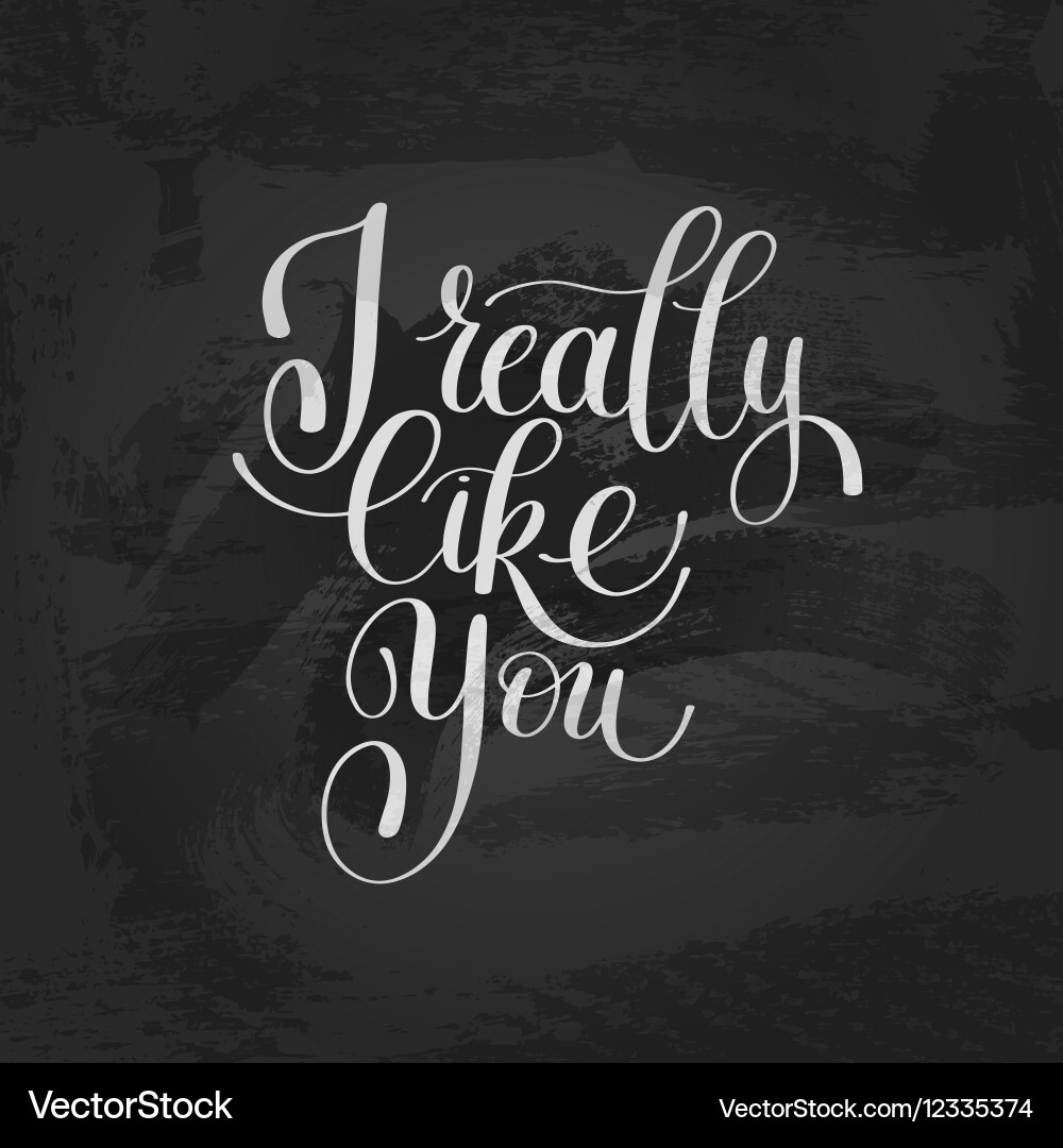 I really like you love letter message text Vector Image