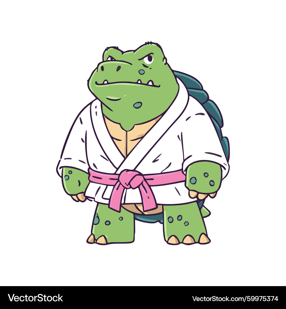 Judo Turtle Fighter Royalty Free Vector Image - VectorStock