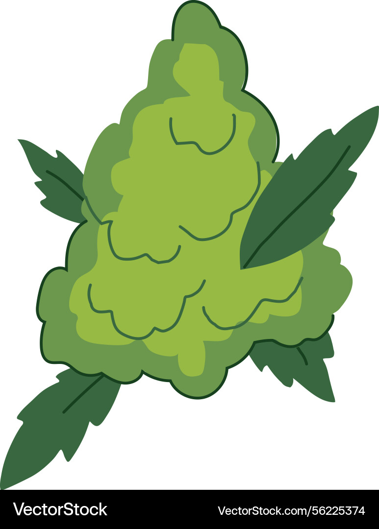 Terpenes weed bud cartoon Royalty Free Vector Image
